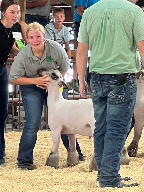 Ava Greiner Wraps Up Her 4-H and FFA Career with Championships and ...