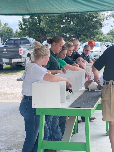 Morgan Meyer Sweeps Fancy Division at Rabbit Show, Balances Titles with ...
