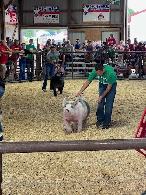 Local Exhibitors Shine in First Rounds of Lee County Fair Swine Shows ...