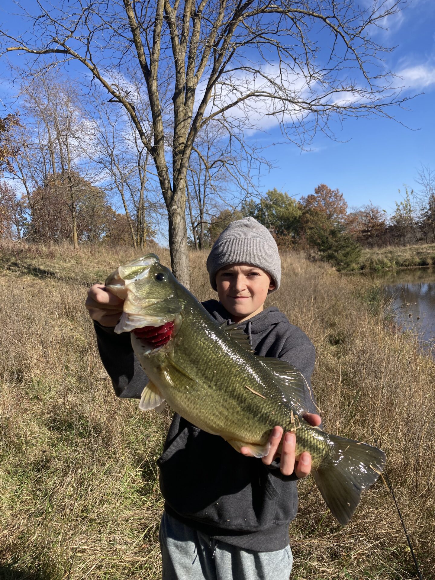 Washington County 4-H Members Earn Top Honors in Statewide Iowa 4-H ...